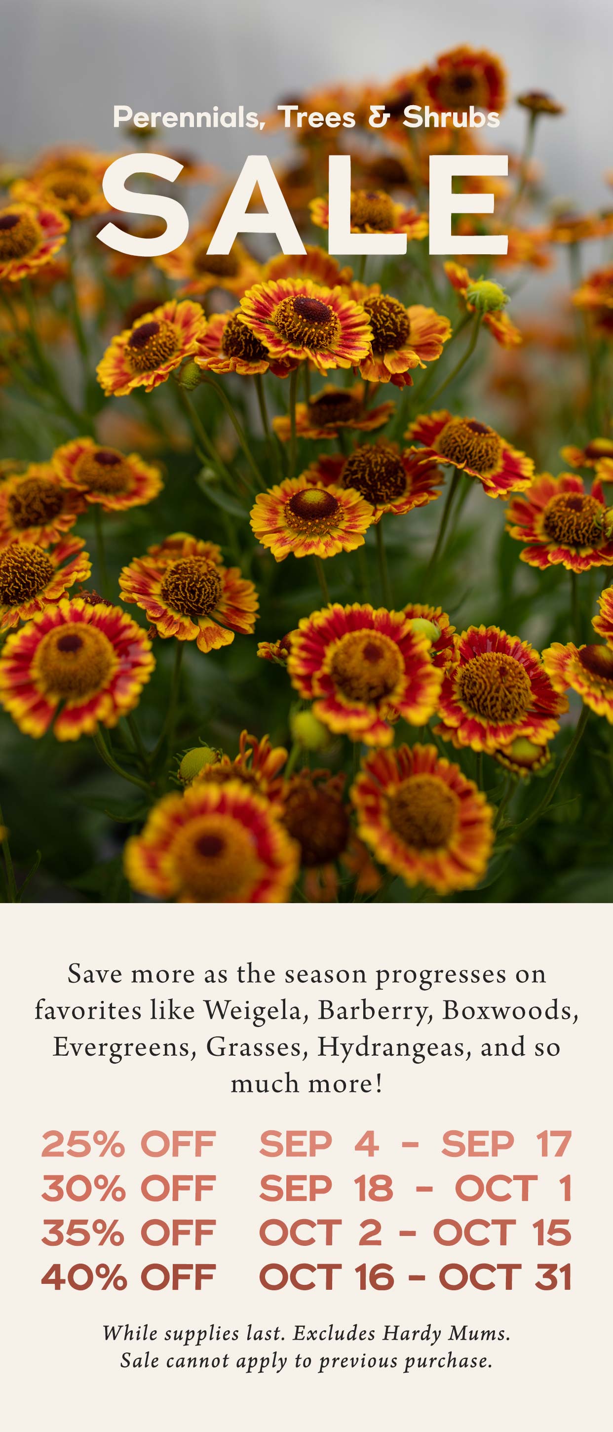 Hoen's Garden Center & Landscaping: Local, Family Owned Business